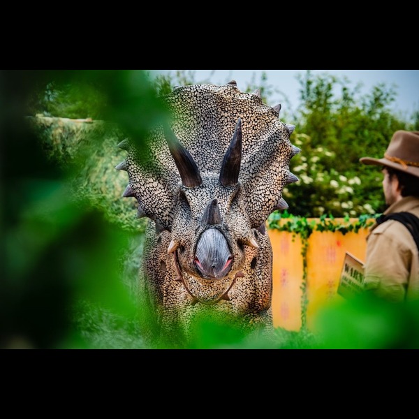 Raptor Ranch unleashes dino fun at a Staffordshire farm – Creative Word PR