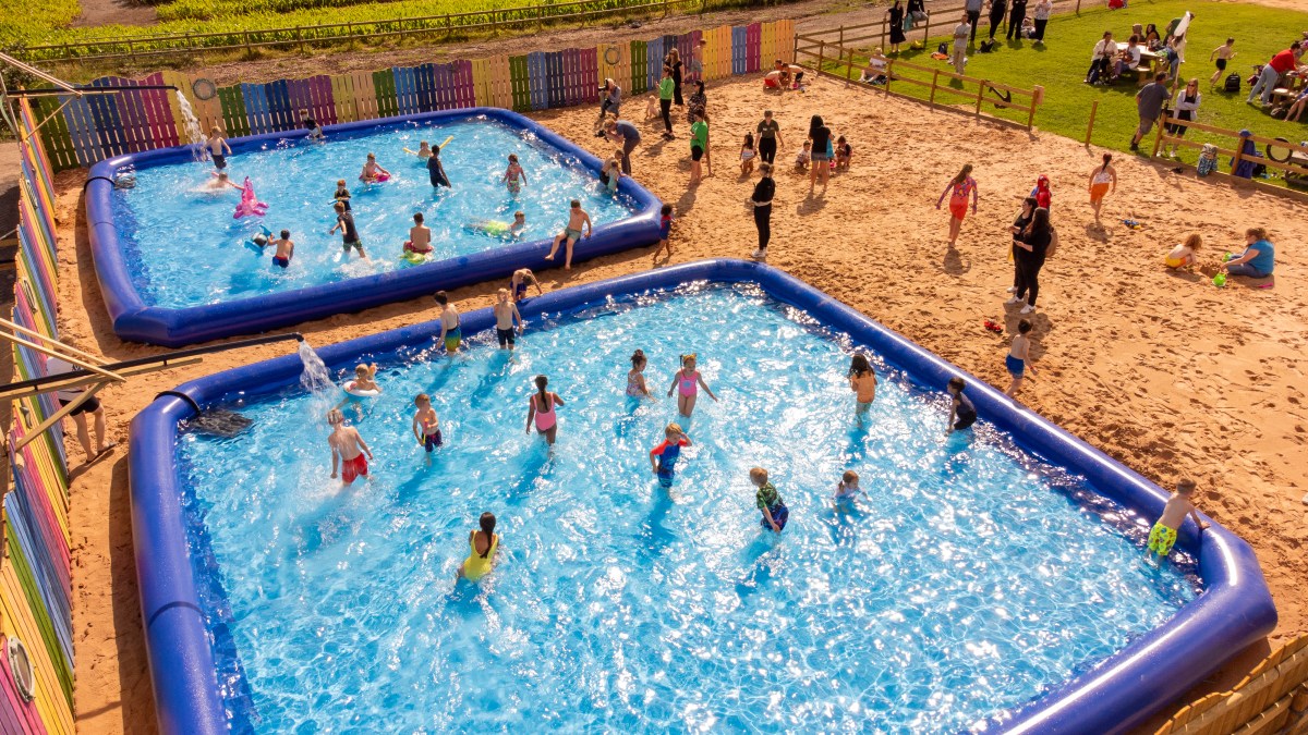 Bringing the beach to Burton as farm park celebrates 20 years of family ...